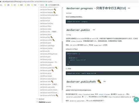 Vue项目中webpack Dev Server的open和host0000配置冲突 哔哩哔哩