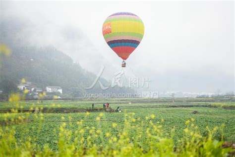 贵州兴义油菜花开迎客来 人民图片网