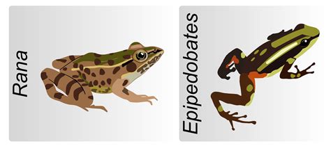 E Anne Chambers On Twitter 3 We Looked At 📊data Snps