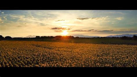 Sido Feat Andreas Bourani Astronaut Youtube