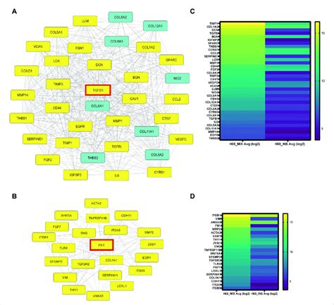 PPI Network Analysis Using STRING Online Database And Cytoscape