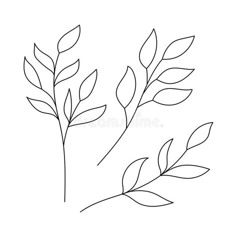 Hand Drawn Simple Outline Twigs With Leaves Botanical Decorative Elements Stock Vector