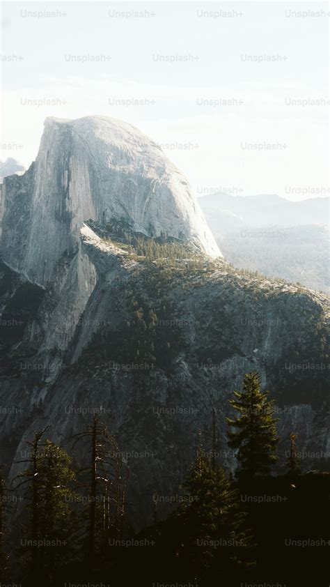 나무가있는 산 사진 Unsplash의 전화 배경 이미지