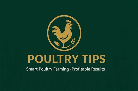 Poultry Tips Lagos