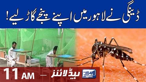 11 Am Headlines 13 September 2022 Lahore News Hd Youtube