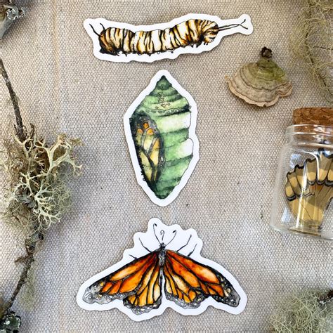 Monarch Metamorphosis Sticker Pack Madison Memering