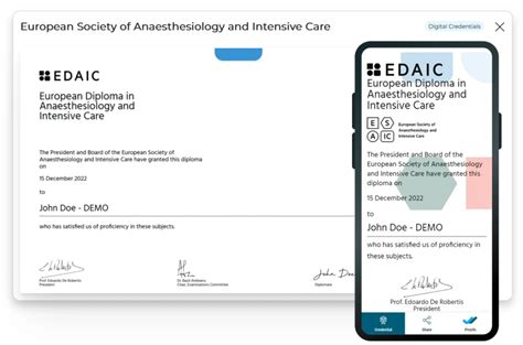 Verifiable Digital Certificates The Protection Against Fake Diplomas