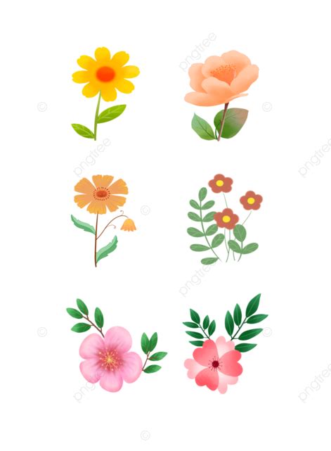 手繪花朵插畫合集 合集 花草樹木 夏天素材圖案，psd和png圖片免費下載