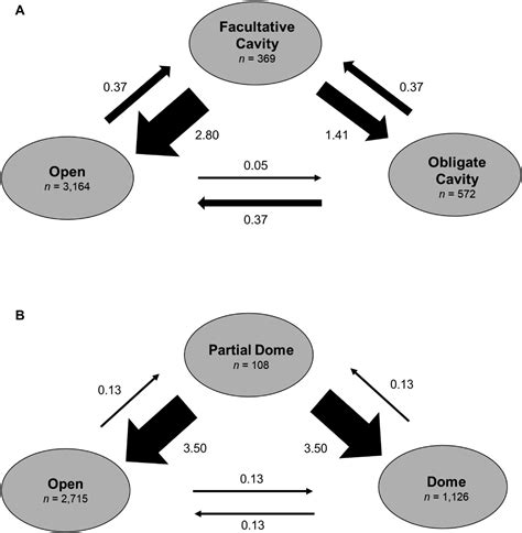 The Evolution Of Enclosed Nesting In Passerines Is Shaped By