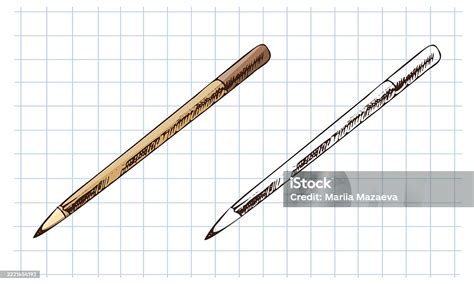 손으로 그린 빈티지 학교 볼펜 스케치 갈색과 모노크롬으로 그리드 노트북 배경에 갈색에 대한 스톡 벡터 아트 및 기타 이미지 갈색 개념 고전 양식 Istock