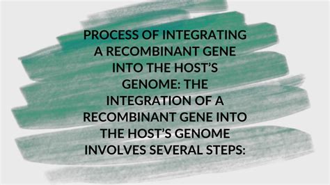 Ppt Recombinant Dna Technology Presentation Powerpoint Presentation