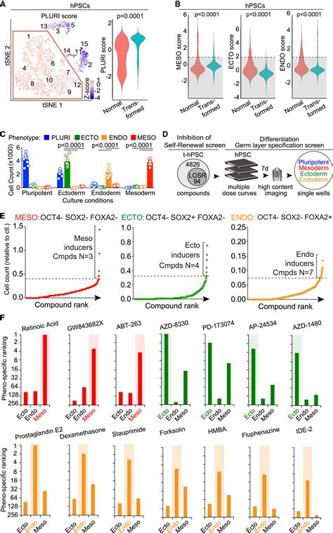 Chemical Genomics Reveals Targetable Programs Of Human Cancers Rooted