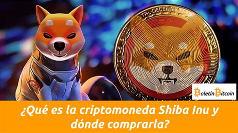 D Nde Comprar Shiba Inu En En Espa A E Iberom Rica