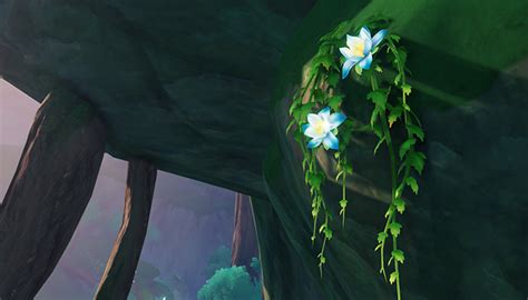 Kalpalata Lotus Efficient Farming Route For Dori And Nahida In Genshin