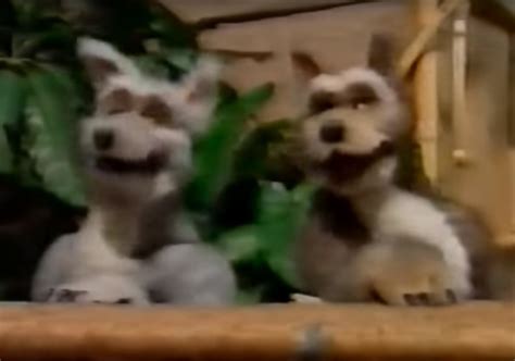 I Revisited Whats Up Doc After 27 Years It Was A Bumpy Journey It