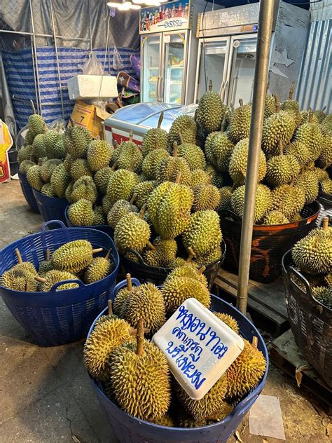 ຮັບຫິ້ວເຄື່ອງ ໄທ ລາວ ລາວ ໄທ ຮັບຫິ້ວເຄື່ອງ ໄທ ລາວ ລາວ ໄທ