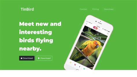 Create Your Custom Website By Vicbata Fiverr