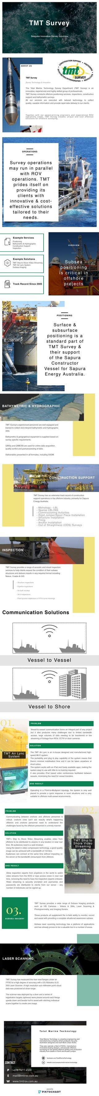 Tmt Survey Pdf