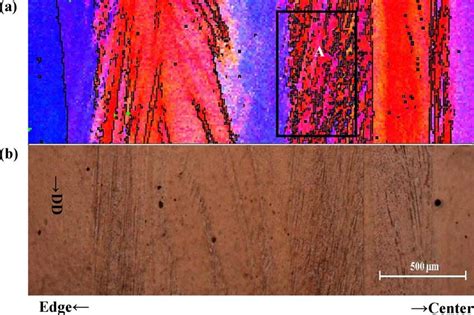 Microstructure Of The Deformation Zone In The Pass With The True Strain Download Scientific