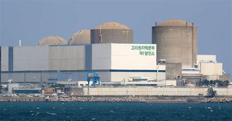 드디어 한국에도 새 먹거리 생겼다연일 폭등 환호