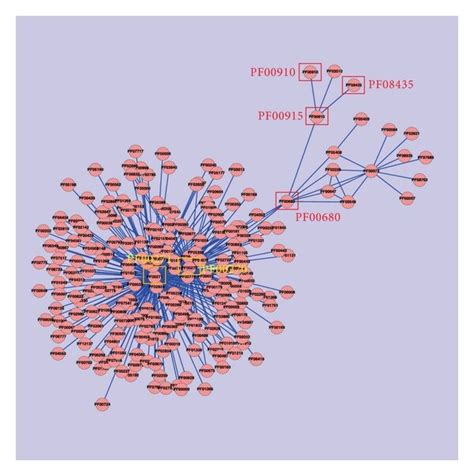 The Domain Domain Interaction Network Within Depth 2 Download Scientific Diagram