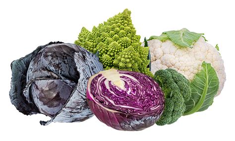 콜 리 플라워 브로콜리 낭만과 붉은 양배추 클리핑 패스와 흰색 배경에 고립 녹색에 대한 스톡 사진 및 기타 이미지 녹색 빨간색 양배추 컷아웃 Istock