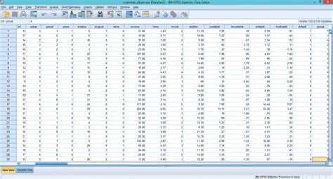 Spss Mahaty