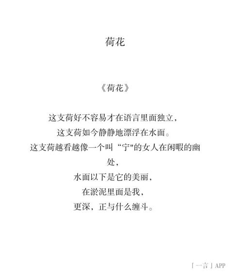 荷花 知乎