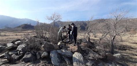 Хиргисүүр ухаж бугын эвэр түүж байхдаа гал алдан ойд түймэр тавьсан