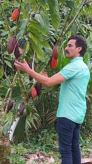 La Ruta Del Cacao Pasa Por Colombia En El Gourmet Revista Momentos