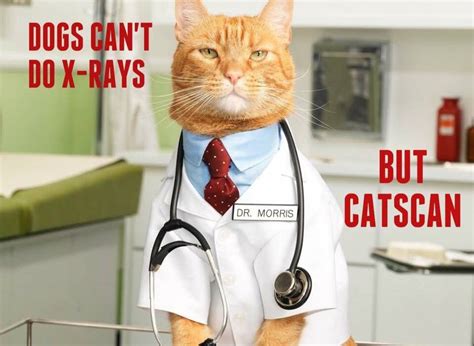 Joke Lab Report And Cat Scan At Carlos Luce Blog