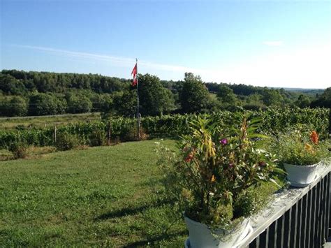 Annapolis Highland Vineyards Bear River 2021 All You Need To Know