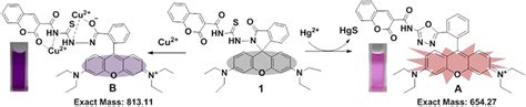 Fret‐based Fluorescent And Colorimetric Probe For Selective Detection