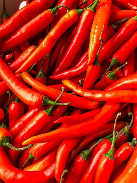 Chili Pepper Identification