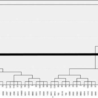 Dendrogram Hierarchical Cluster Analysis Of The Core Outcome Set Of