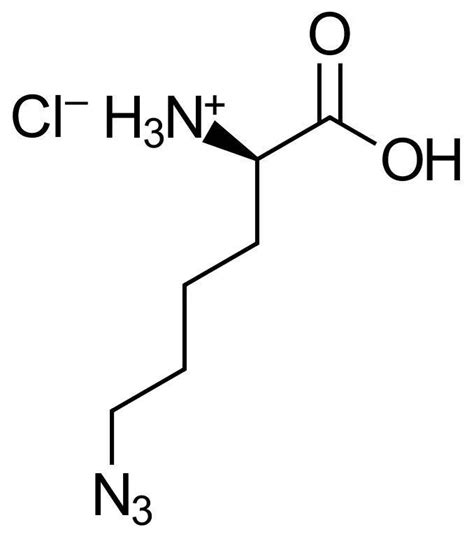 Baseclick Bioconjugation Cell Proliferation Lucerna Chem