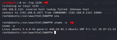 Ssl Injection Attacks And Mitigation Secnhack