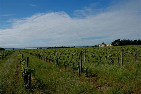 Domaine De Calet Popular Wine Tasting And Tour In Rhone Valley