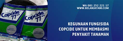 Kegunaan Fungisida Copcide Untuk Membasmi Penyakit Tanaman