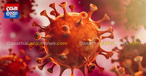 ඩෙංගු මී උණ කොවිඩ් රෝග පැතිරයන බැවින් ජනතාව බියෙන් වීඩියෝ