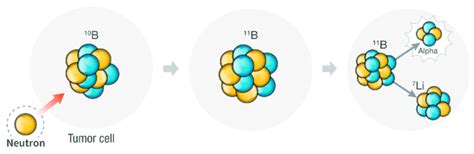 Molecules Free Full Text Towards The Application Of Purely