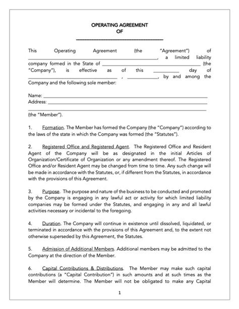 Single Member LLC Operating Agreement Contract Template Etsy