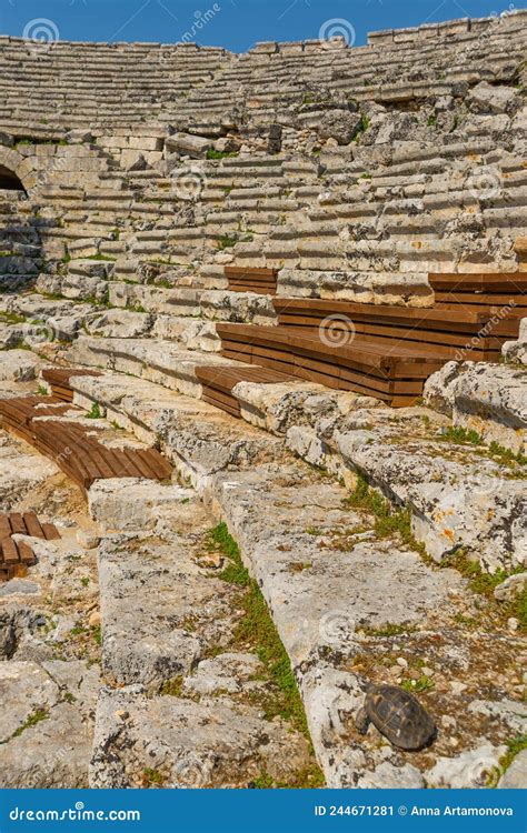 Kaunos Dalyan Turkey La Tortuga Y El Teatro En La Antigua Ciudad De Kaunos Imagen De Archivo