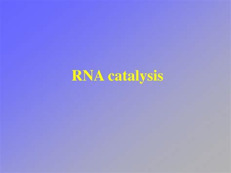Ppt Rna Catalysis Powerpoint Presentation Free Download Id2683746