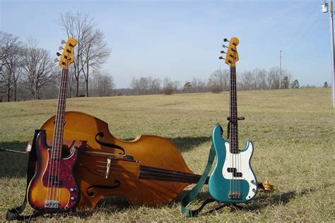 In Praise Of Expensive Basses Page 8