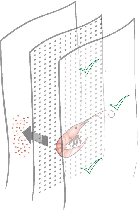 Interscience 80ml Filter Bag Bagpage 80 Sterile Edwards Group
