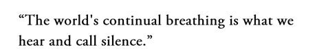 Metamorphesque ― Clarice Lispector The Passion According To Gh