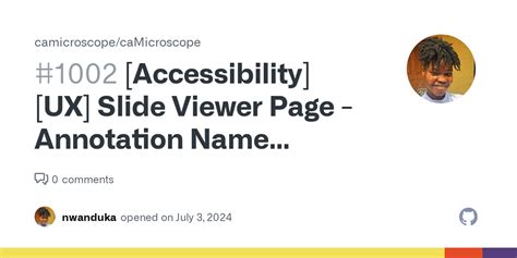 Accessibility Ux Slide Viewer Page Annotation Name Suggestion
