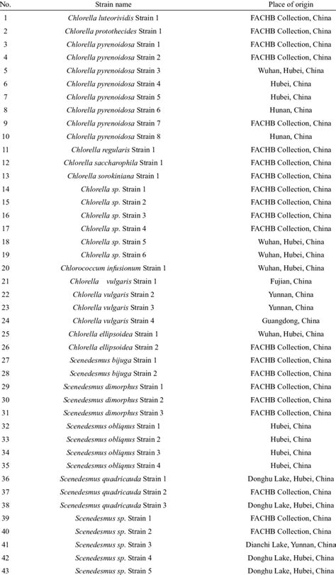 Origin Of 43 Algae Strains Tested Download Table