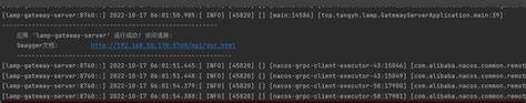 文档无法查看报错 Issue dromara lamp cloud GitHub